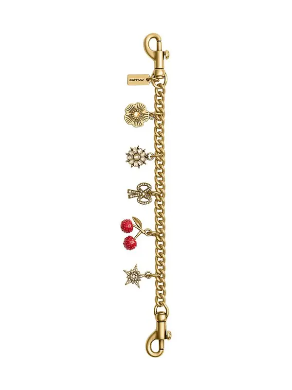 COACH Crystal Motif Chain Bag Charm - Brass/multi
