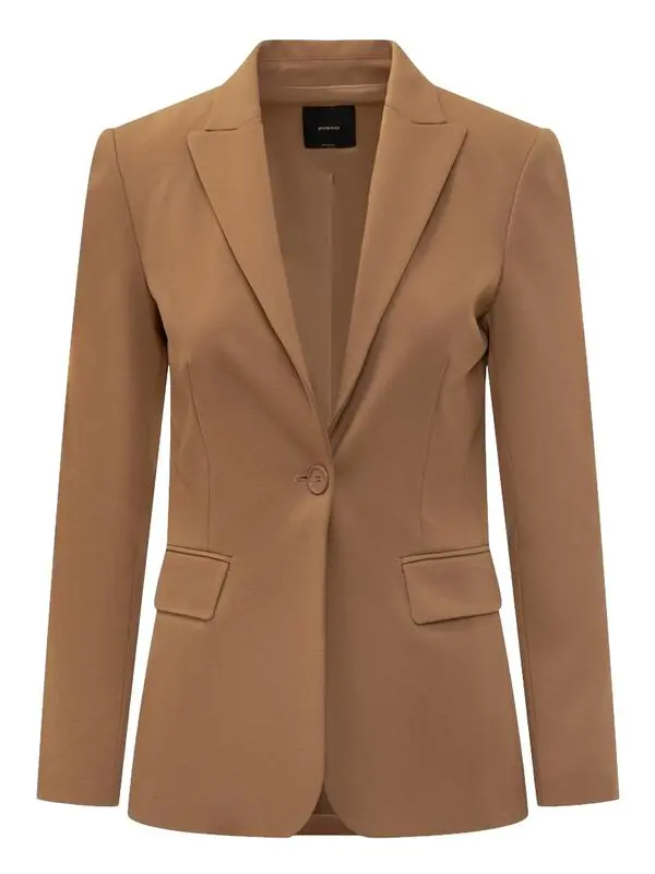 Pinko Single-breasted Crepe Blazer - Brown