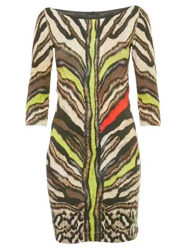 Just Cavalli Vintage Animal-print Mini Dress - Brown