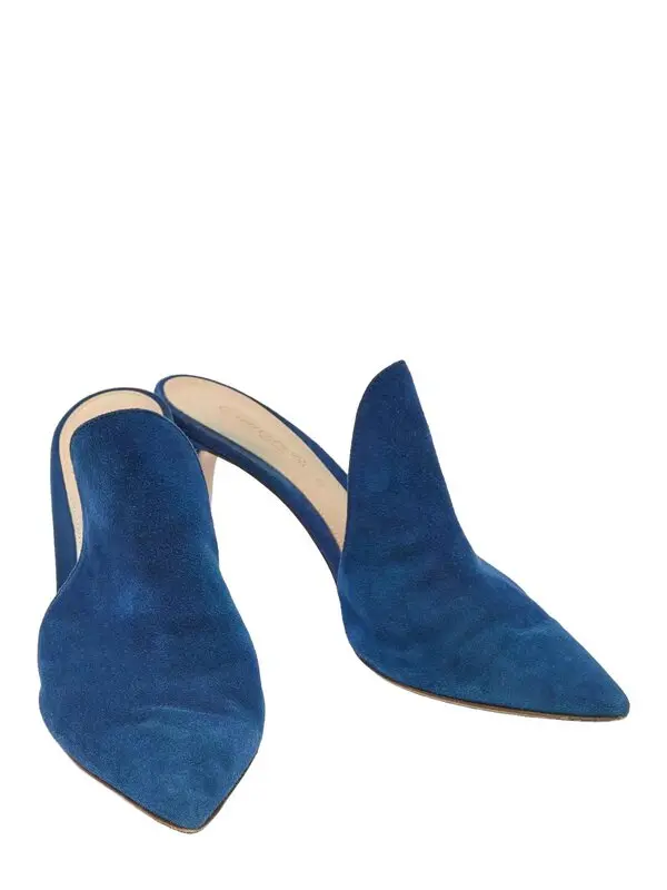 GIANVITO ROSSI Aramis Pointed Mules - Blue
