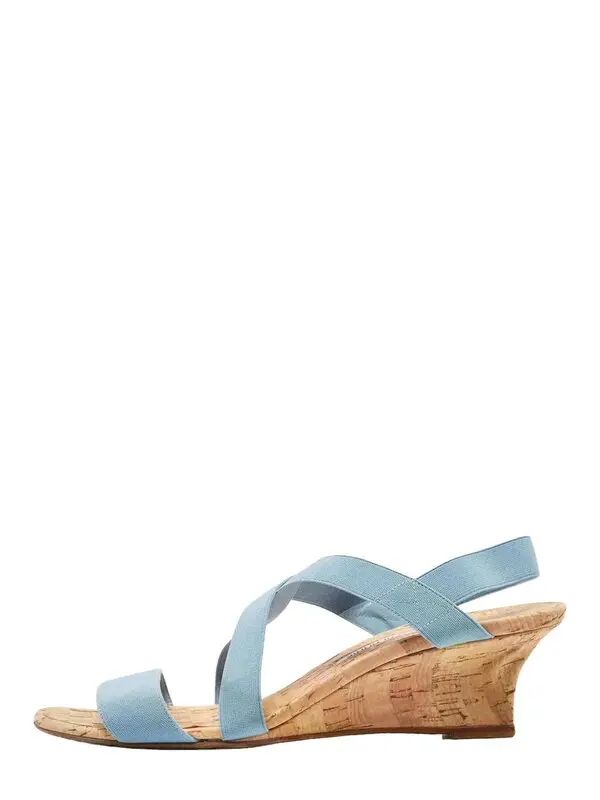 Manolo Blahnik 60mm Terwe Wedge Sandals - Blue