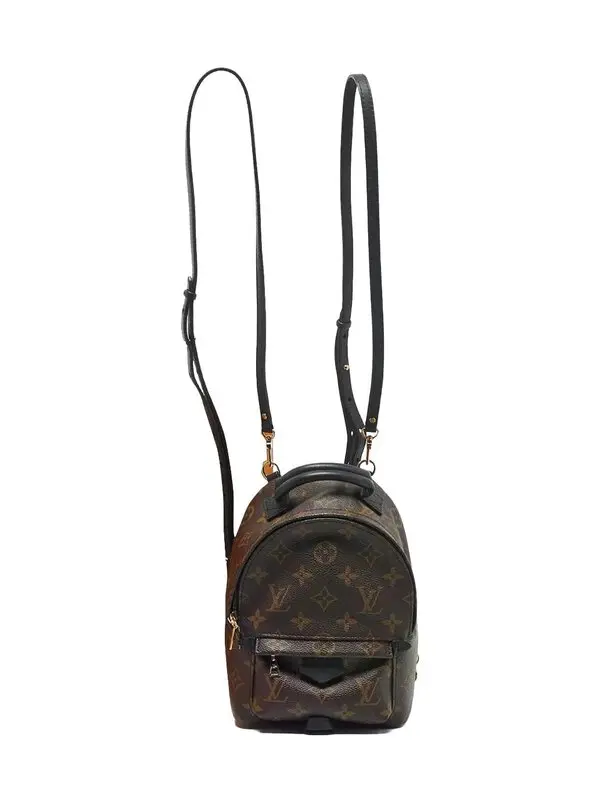 LOUIS VUITTON Mini Palm Springs Backpack - Brown