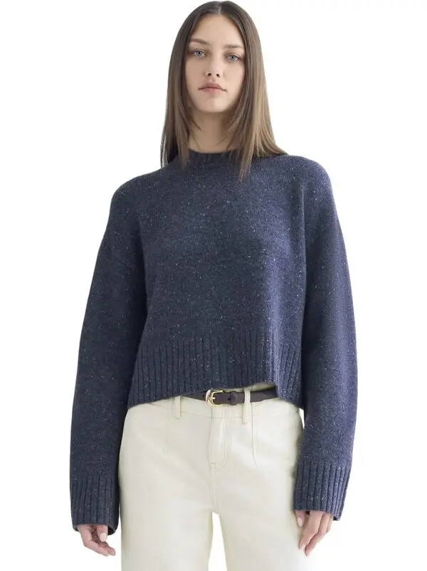 Everlane Cropped Boxy Crew Neck Sweater - Heathered Blue Donegal
