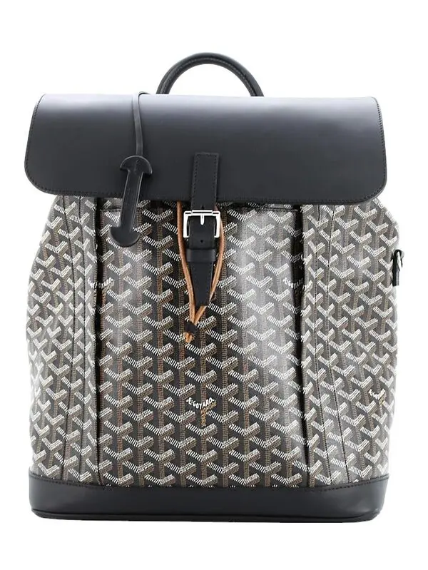 GOYARD Mm Alpin Backpack Coated Canvas - Black
