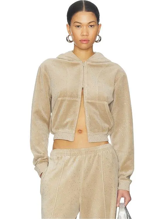 Alexander Wang Allover Hotfix Shrunken Hoodie - Warm Taupe