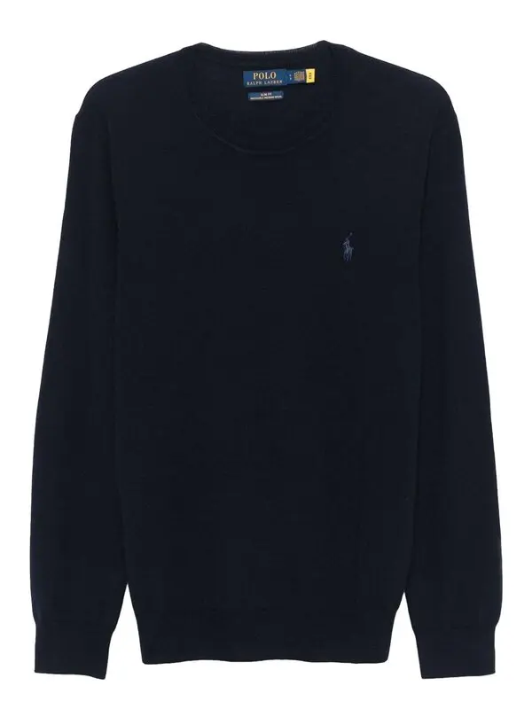 Polo Ralph Lauren Round Neck Sweater With Logo - Blue