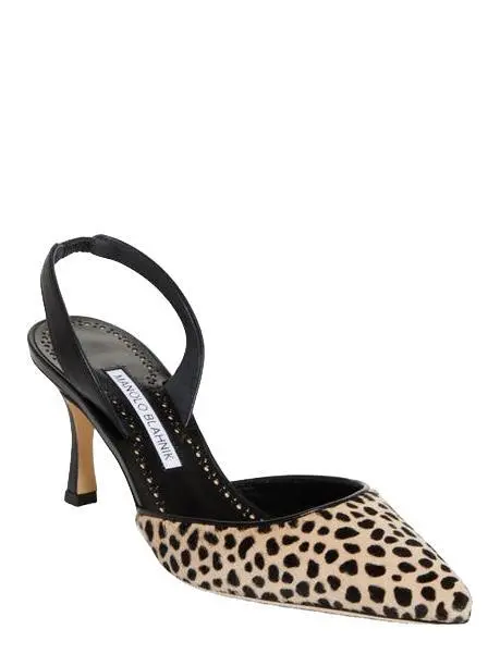 Manolo Blahnik Carolyne Calf Hair Slingback Pumps - Black/ivory