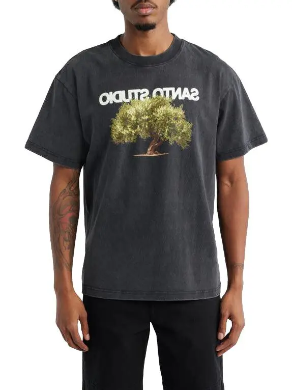 SANTO STUDIO Olive Tree Graphic T-shirt - Vintage Black