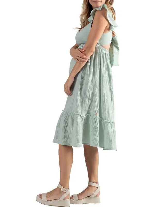 CACHE COEUR Melody Maternity And Nursing Dress - Sky