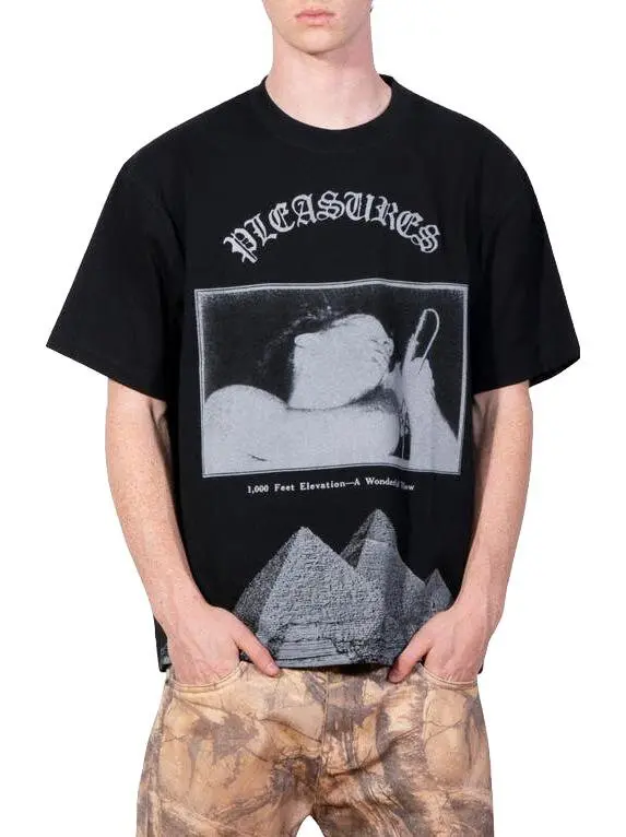 PLEASURES Elevation Heavyweight Cotton Graphic T-shirt - Black