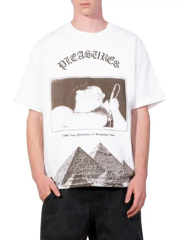 PLEASURES Elevation Heavyweight Cotton Graphic T-shirt - White