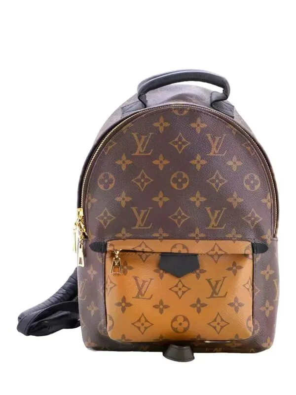 LOUIS VUITTON Palm Springs Monogram Canvas Pm Backpack - Brown