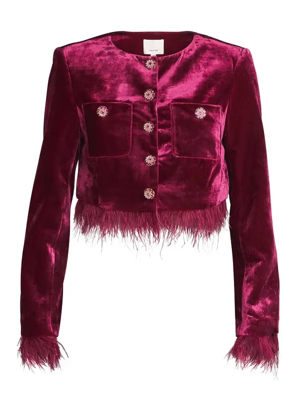 Cinq À Sept Velvet Feather-trimmed Evelina Jacket - Red