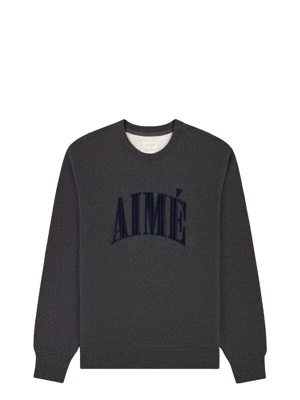 Aimé Leon Dore Appliqué Crewneck Sweatshirt - Grey