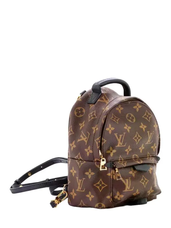 LOUIS VUITTON Palm Springs Monogram Canvas Mini Backpack - Brown