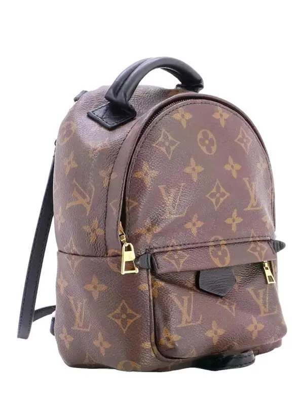LOUIS VUITTON Palm Springs Monogram Canvas Mini Backpack - Brown
