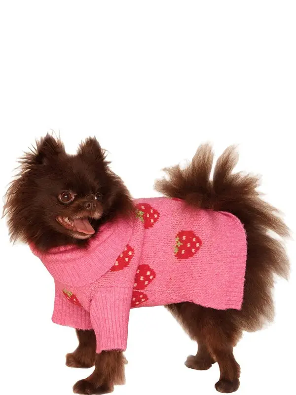 LITTLE BEAST Strawberry Dog Sweater - Print