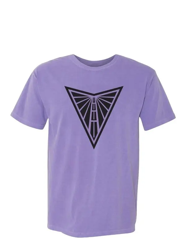 THE WILD COLLECTIVE Golden State Valkyries Heavy Wash Premium T-shirt - Violet
