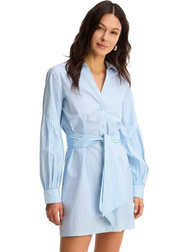 Allison Paisley Shirt Dress - Blue / Stripe
