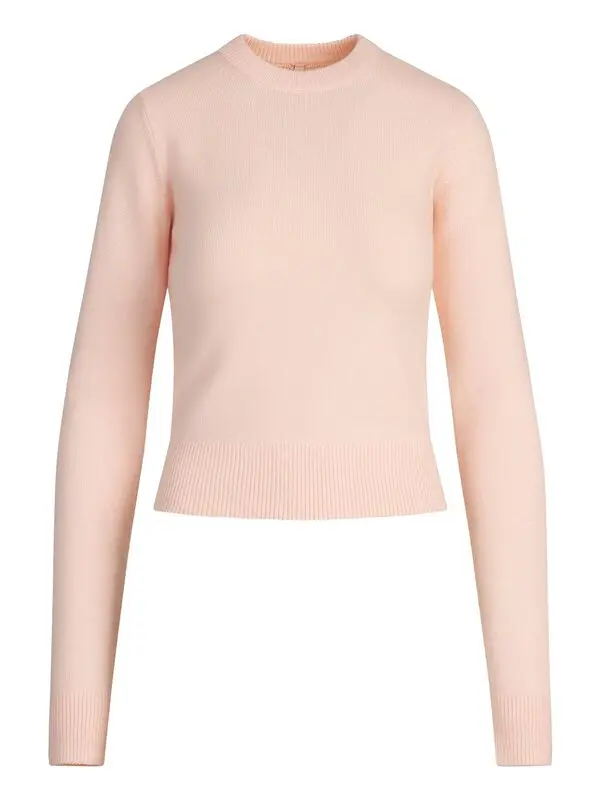 SKIMS Ribbed Long Sleeve Crewneck - Primrose