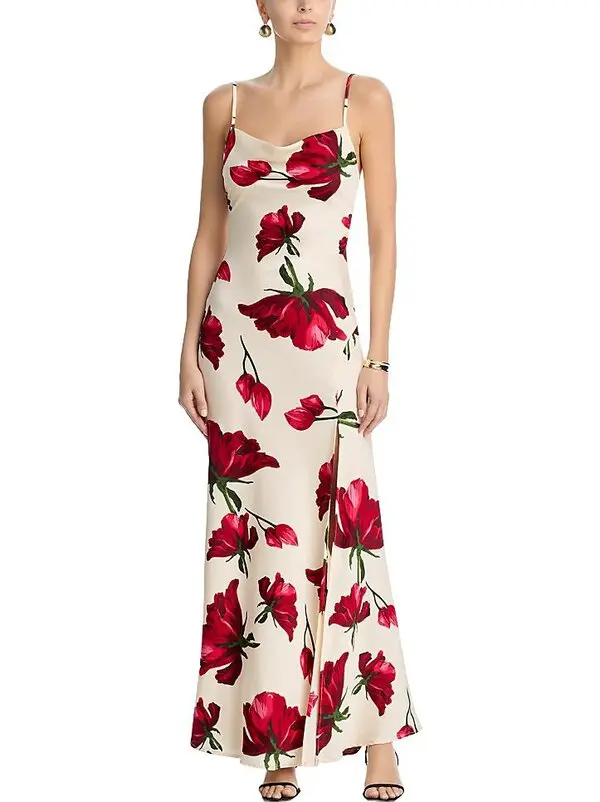 Aqua Floral Cowl Maxi Dress - Ivory/red