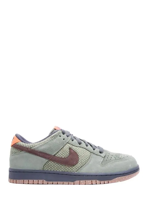 Nike Dunk Low Sneakers - Urban Haze/baroque Brown/anthracite