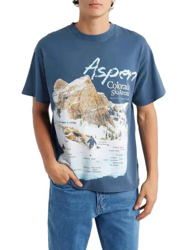 ID SUPPLY CO Npl Ski Areas Graphic T-shirt - Washed Navy