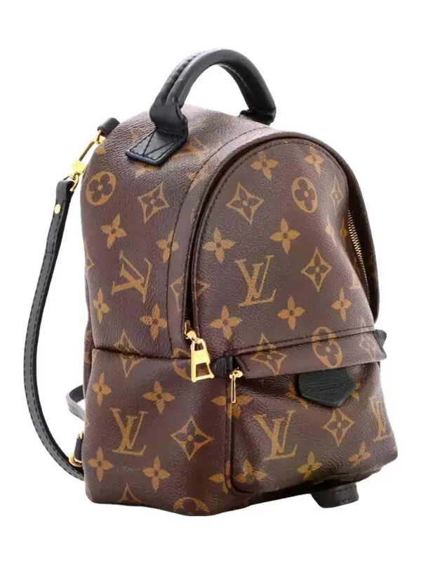 LOUIS VUITTON Palm Springs Monogram Canvas Mini Backpack - Brown