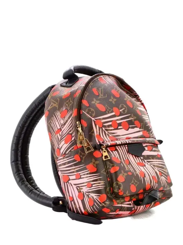 LOUIS VUITTON Palm Springs Monogram Jungle Dots Pm Backpack - Brown