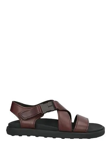 TOD'S Leather Sandals - Brown