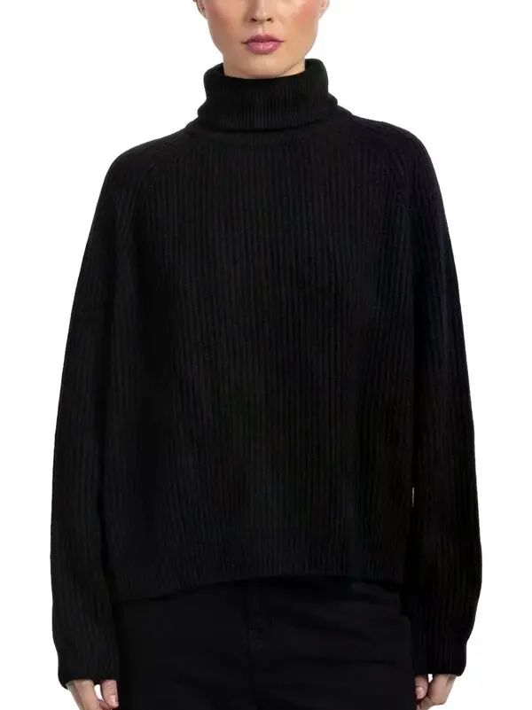 Dusan Roll-neck Ribbed Sweater - Black