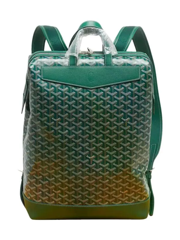 Goyard Cisalpin Coated Leather Backpack - Green