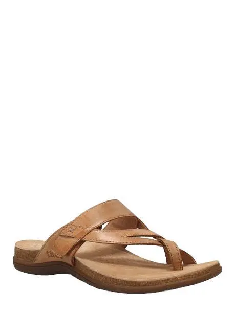 TAOS Perfect Toe Loop Sandal - Tan