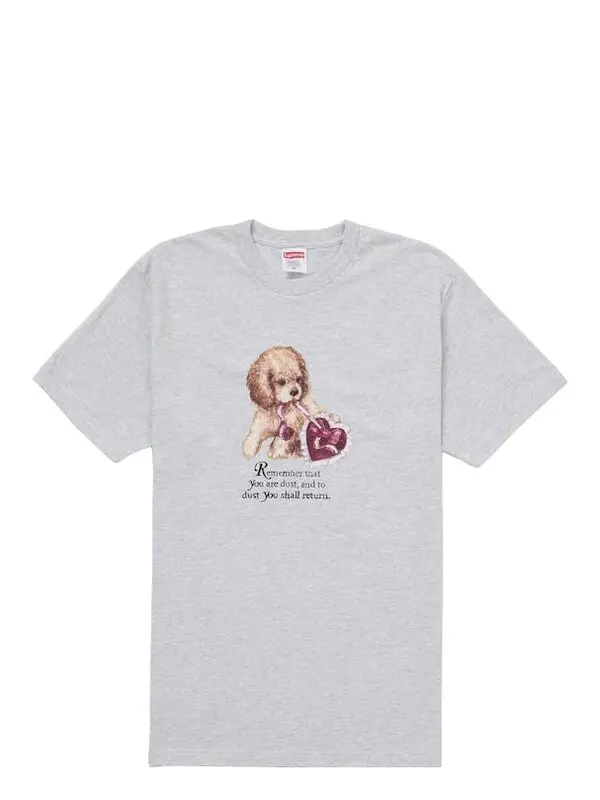 Supreme Dust Tee Shirt - Ash Grey