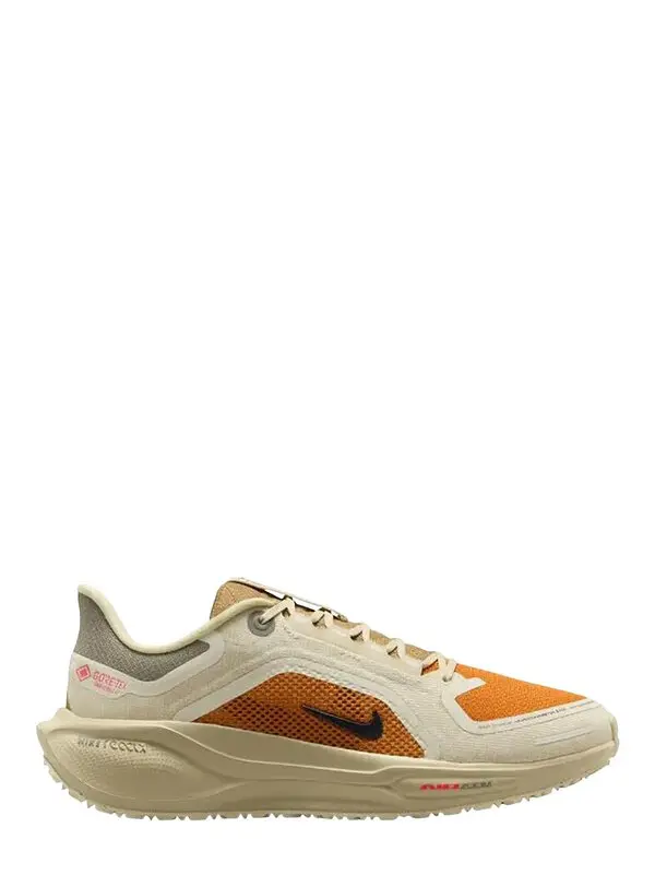 Nike Pegasus 41 Gore-tex Running Poets - Brown
