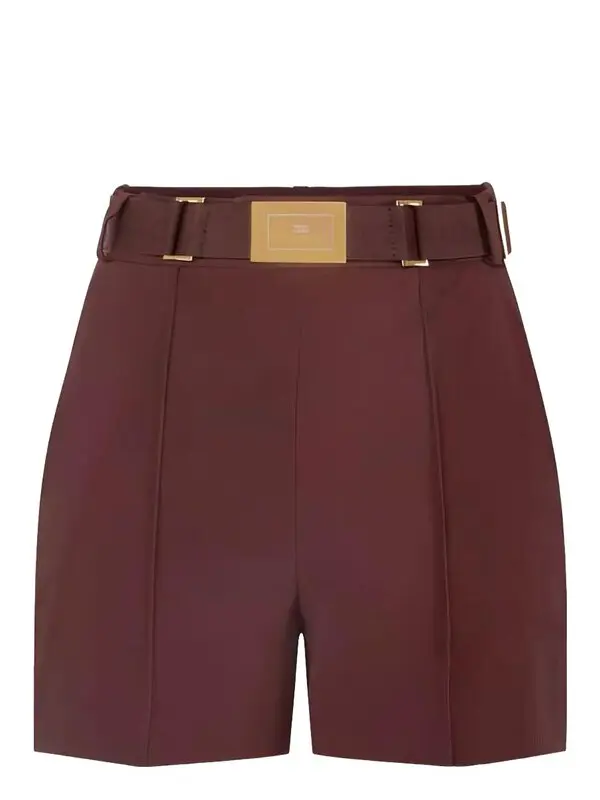 Elisabetta Franchi Belted Shorts - Brown