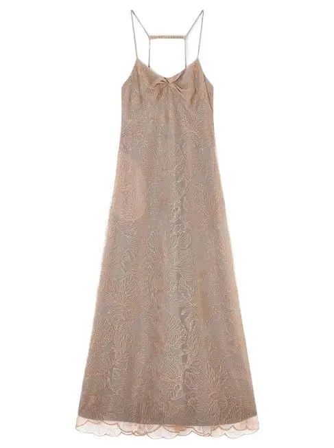 Emporio Armani Embroidered Tulle Maxi Dress - Brown / Neutral