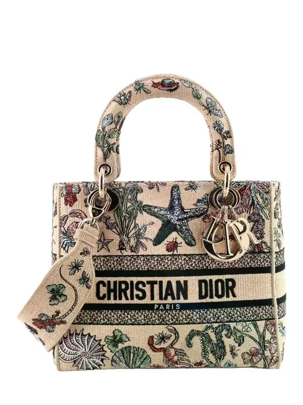 Dior Lady D-lite Medium Satchel - Neutrals
