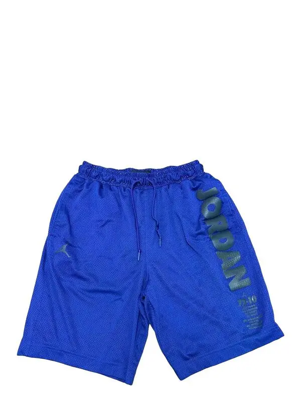 JORDAN Legacy 11 Mesh Shorts - Blue