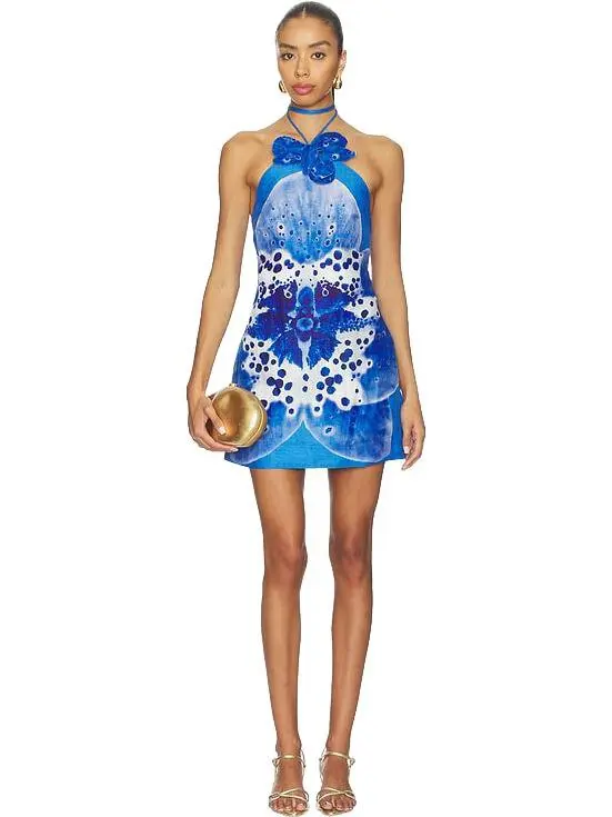 AMUR Everlee Mini Dress - Cobalt Orchid