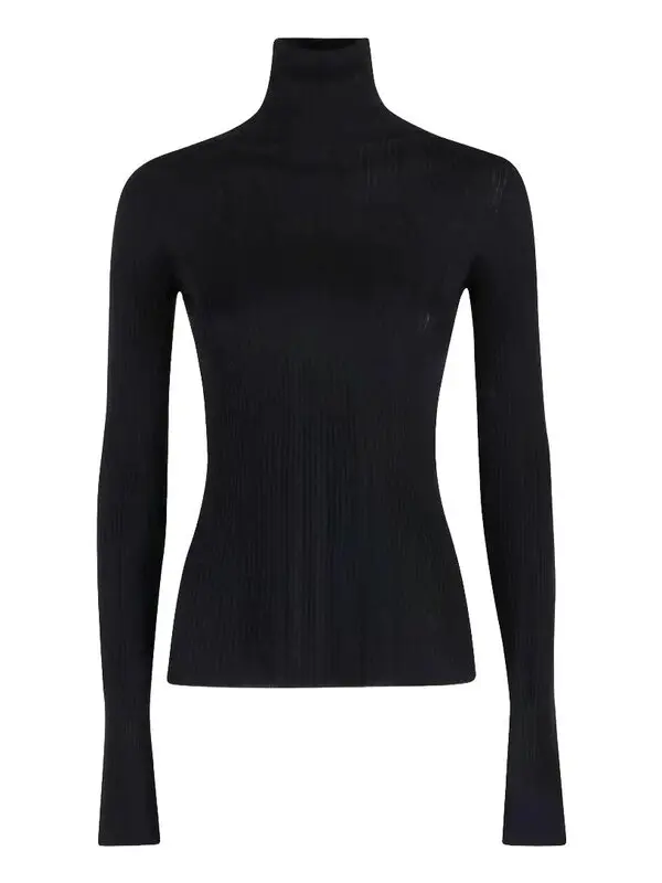 Sportmax Long-sleeve Roll-neck Sweater - Black