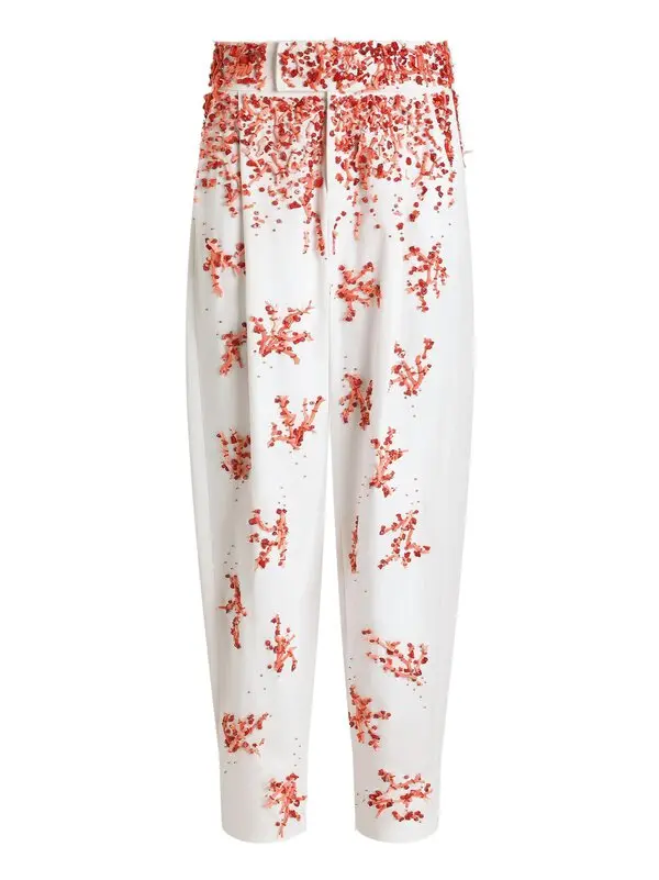 Dolce & Gabbana Cotton Twill Pants With Embroidery - Multicolor