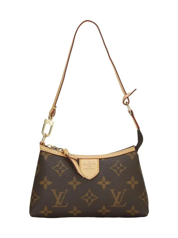 LOUIS VUITTON Monogram Delightful Pouch - Brown