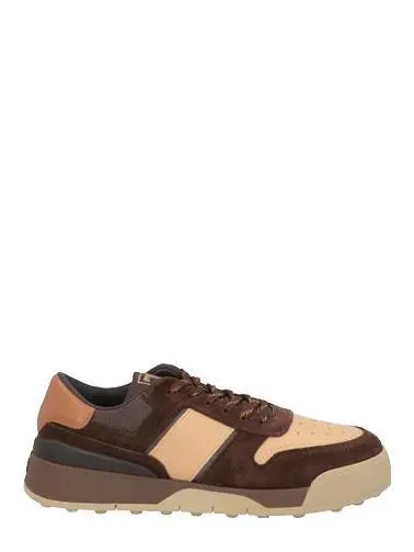 TOD'S Leather Low-top Sneakers - Brown