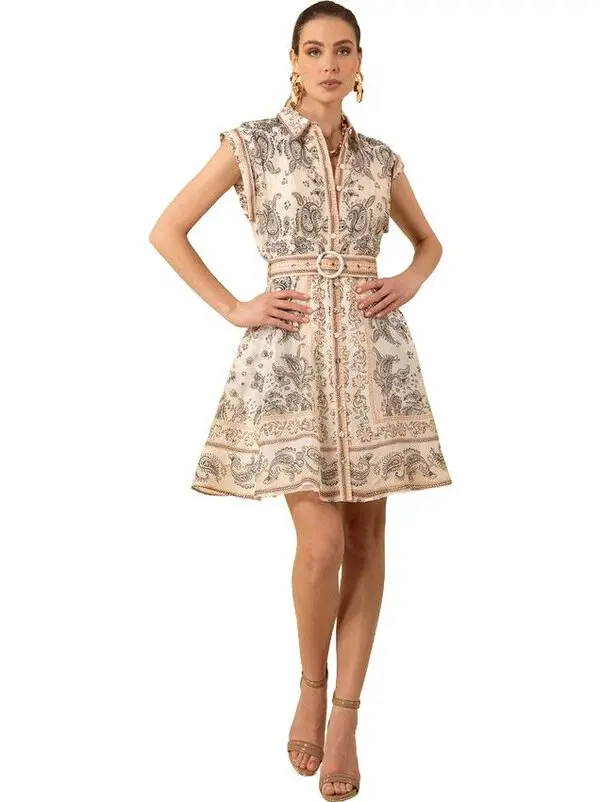 Hale Bob Holland Organza Mini Dress - Brown / Neutral