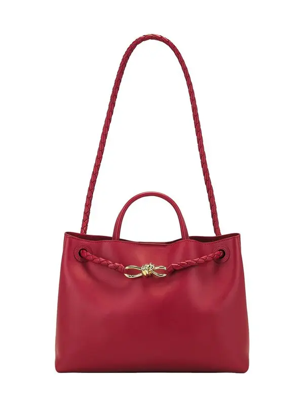Bottega Veneta Medium Andiamo Bag - Rosewood  Space  & Muse Brass