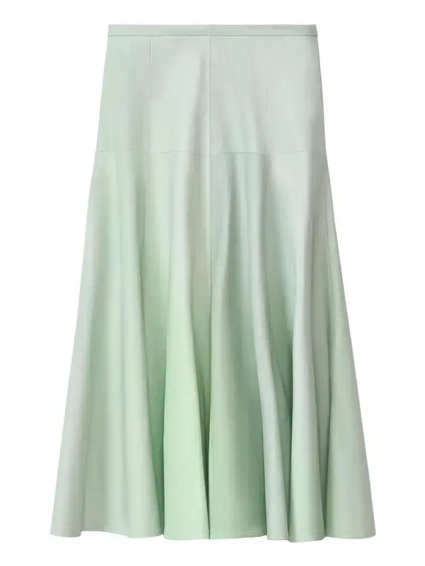 Fabiana Filippi Flared Midi Skirt - Green