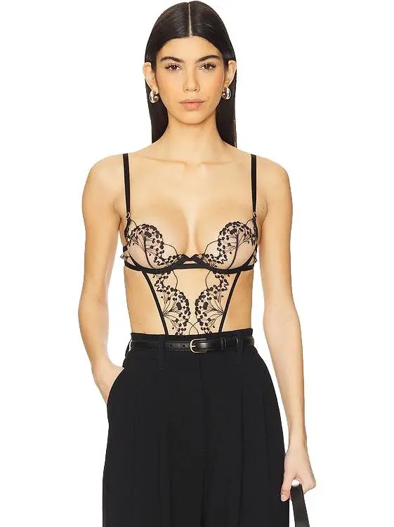 Bluebella Marisa Bodysuit - Black & Sheer