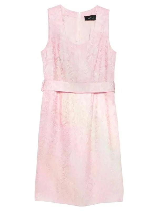 Etro Paisley-embroidered Midi Dress - Pink