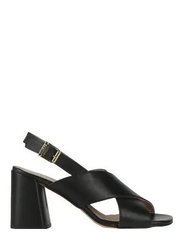 BALDININI Leather Buckle Ankle Strap Sandals - Black